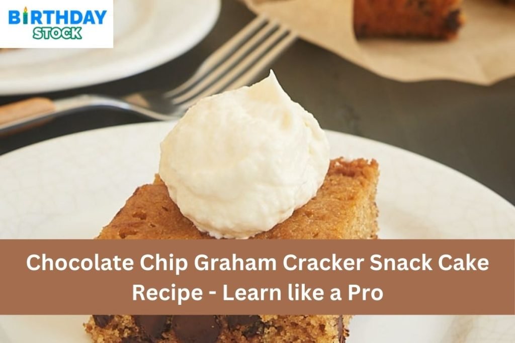 Chocolate Chip Graham Cracker Snack Cake Recipe - Learn Like A Pro ...