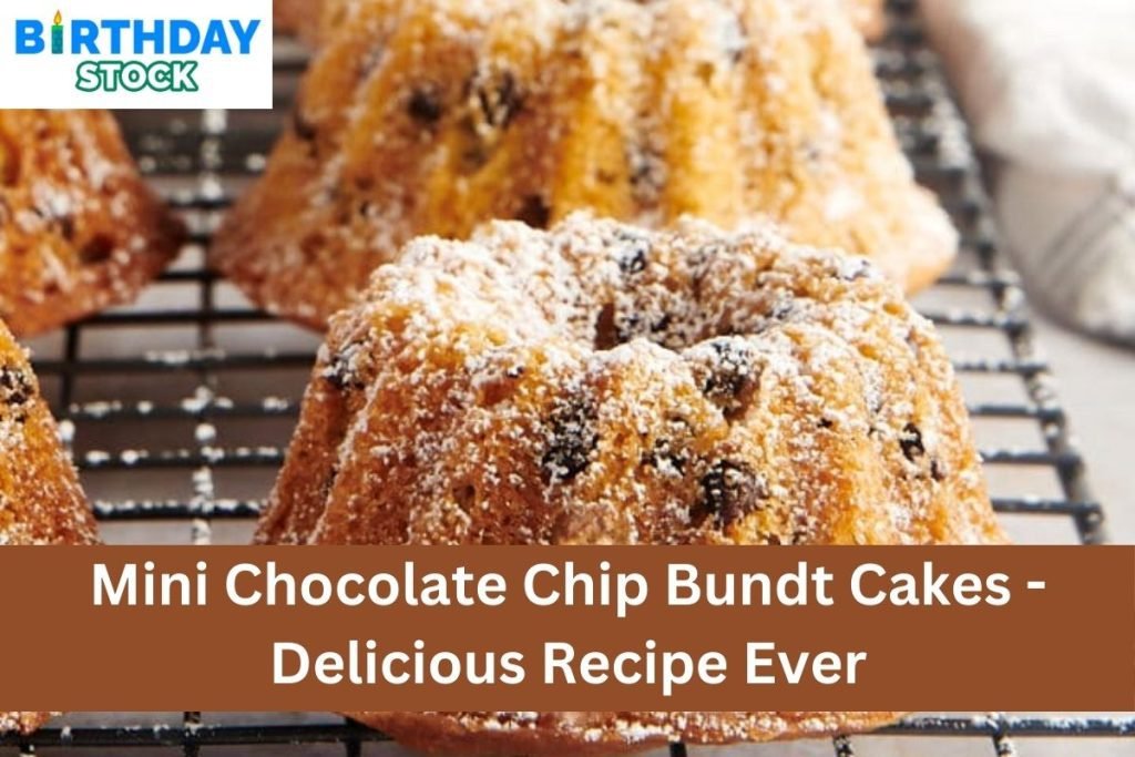 Mini Chocolate Chip Bundt Cakes - Delicious Recipe Ever - Birthday Stock