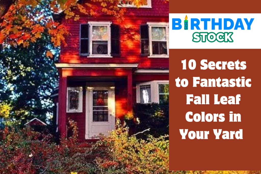 10 Secrets To Fantastic Fall Leaf Colors In Your Yard - Birthday Stock