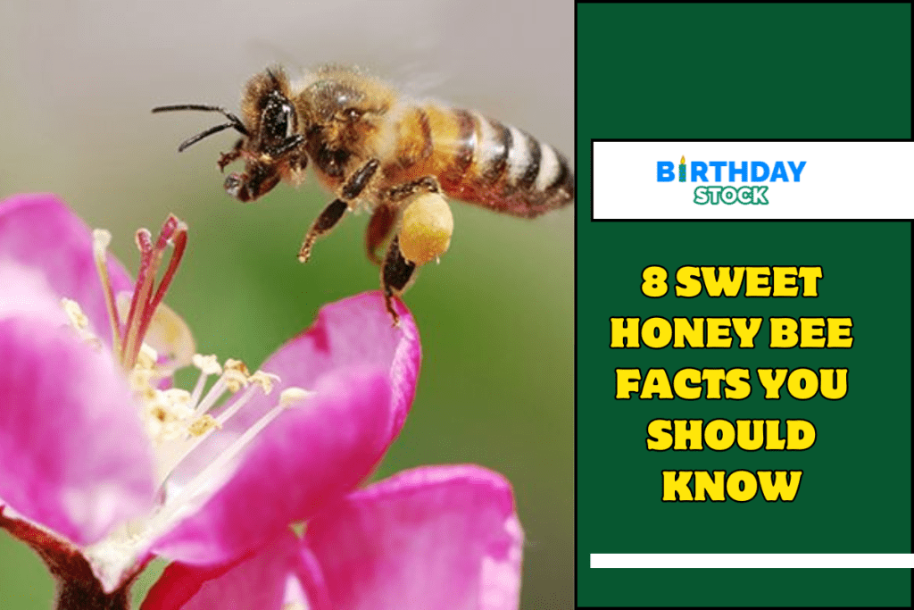 8 Sweet Honey Bee Facts You Should Know - Birthday Stock