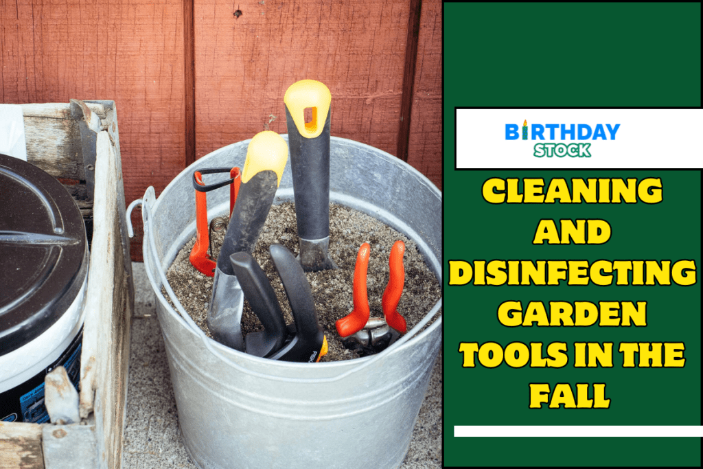 Cleaning And Disinfecting Garden Tools In The Fall - Birthday Stock