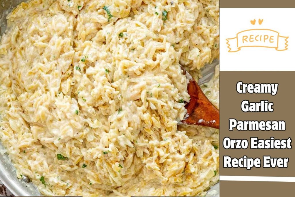 Creamy Garlic Parmesan Orzo Easiest Recipe Ever - Birthday Stock