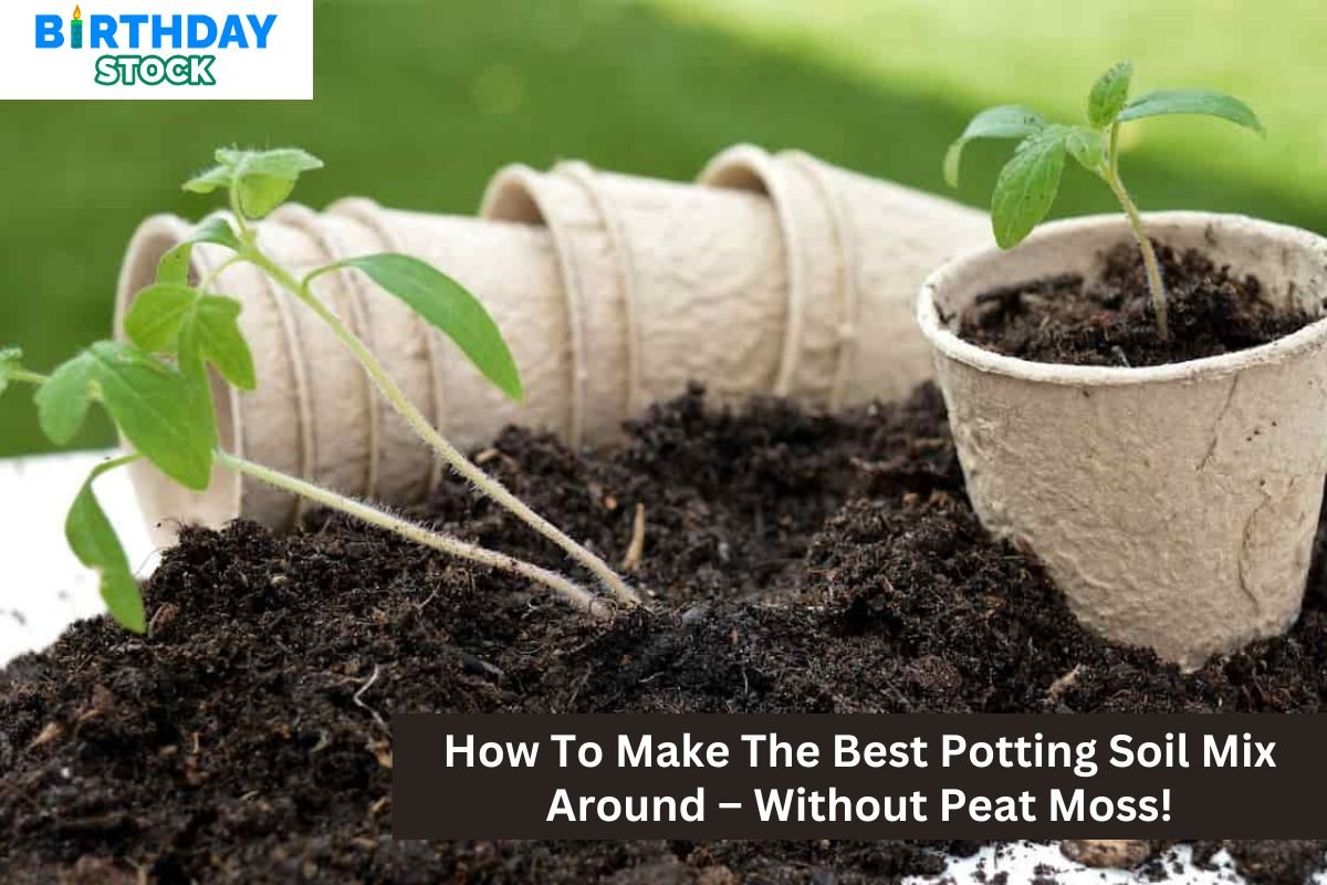 How To Make The Best Potting Soil Mix Around – Without Peat Moss ...