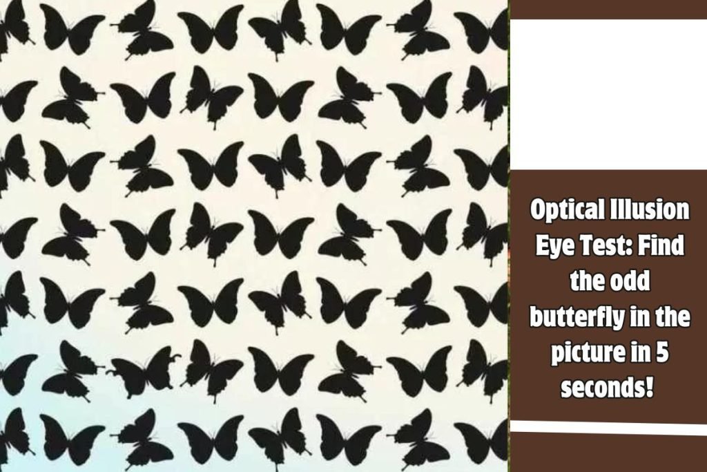 Optical Illusion Eye Test: Find The Odd Butterfly In The Picture In 5 ...