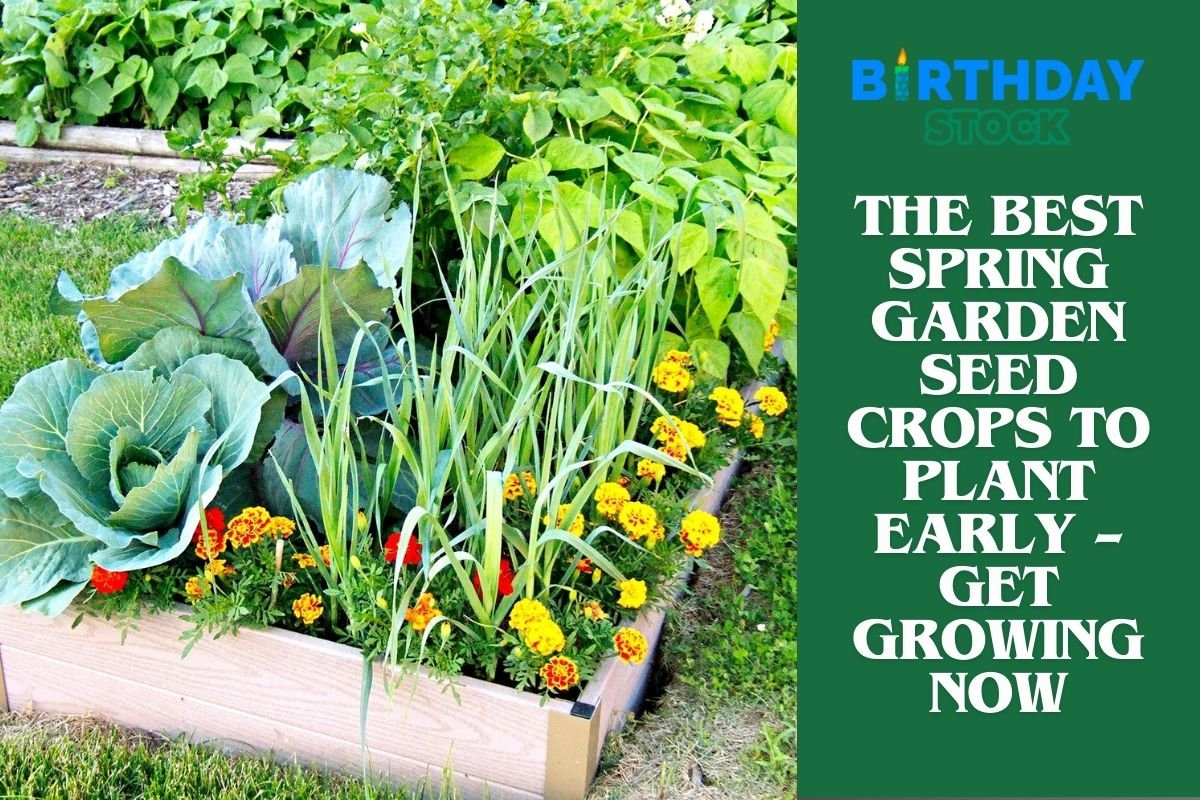 The Best Spring Garden Seed Crops To Plant Early – Get Growing Now ...