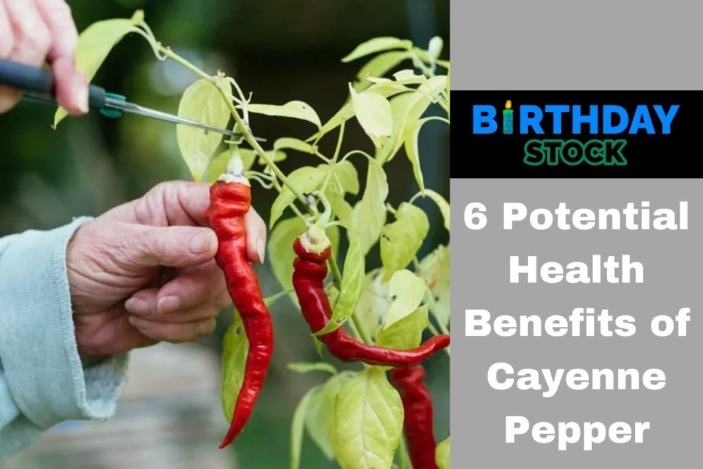 6 Potential Health Benefits Of Cayenne Pepper - Birthday Stock