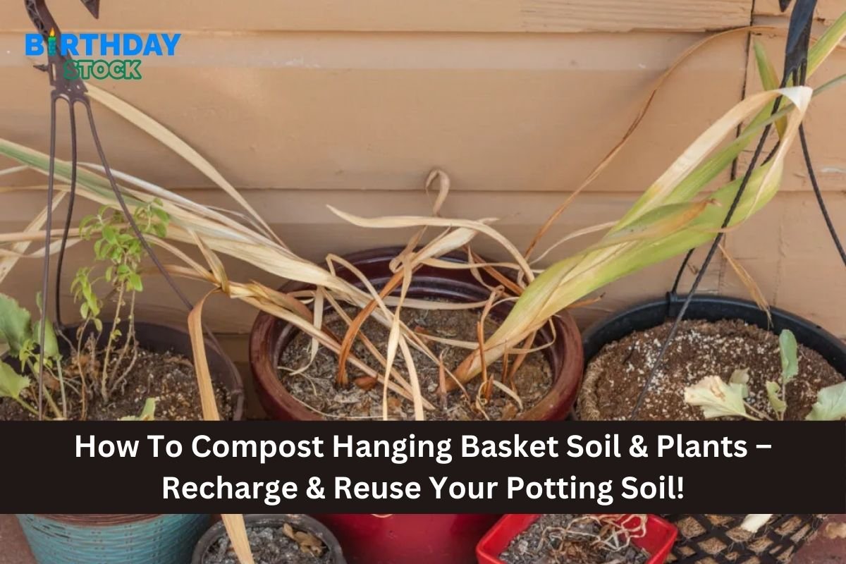 How To Compost Hanging Basket Soil & Plants – Recharge & Reuse Your ...