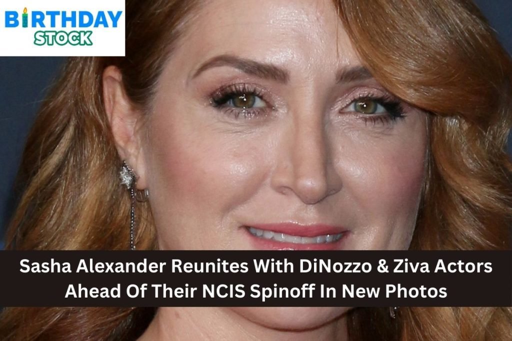 Sasha Alexander Reunites With DiNozzo & Ziva Actors Ahead Of Their NCIS ...